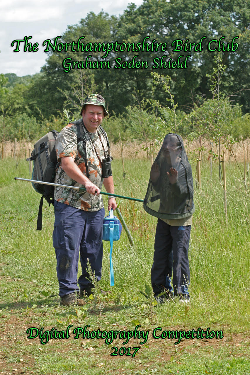Northamptonshire Bird Club: Photographic Competition Entries 2017