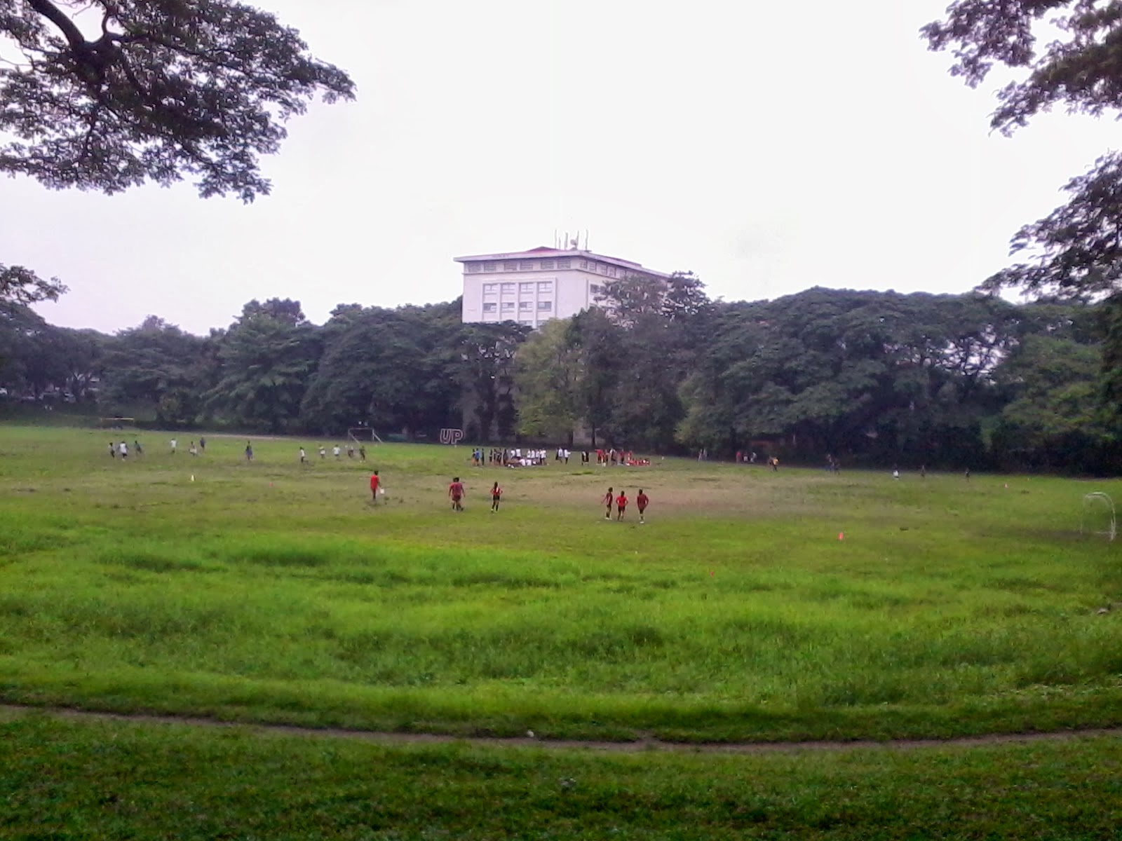 Travel and Tourism: UP Diliman's Trees, Sunken Garden