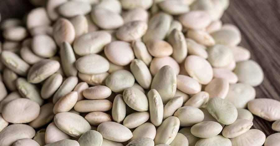 How to Grow Navy Beans - Kilimo Hai