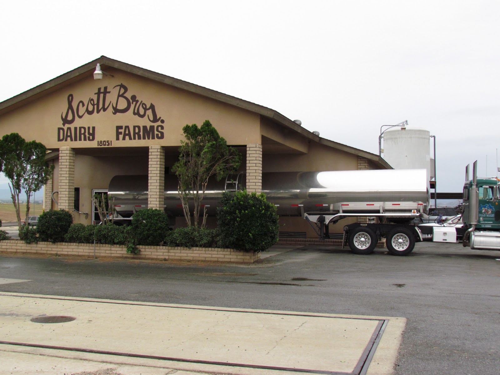 Spotted Cow Review: Dairy Farmer's Ultimate Goal