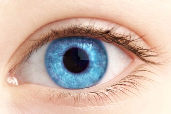15 curiosidades incríveis sobre os olhos - Curiosidades Nota 10