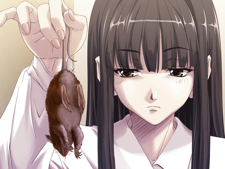 Novela visual: Remember 11: the age of infinity