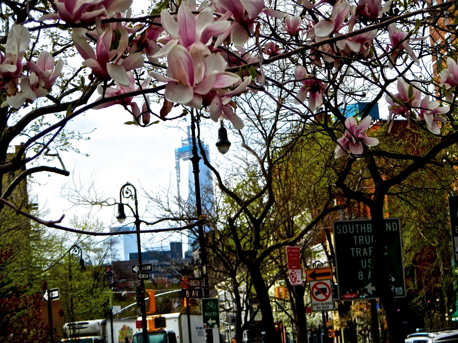 DriveByCuriosity: New York City: Manhattan In Spring