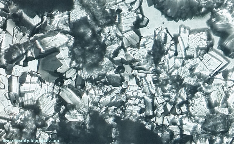 The Wonderful Microworld: Beautiful Sugar Crystals through the Microscope.