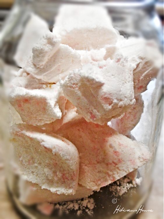 Hibiscus House: DIY LAUNDRY POWDER PODS