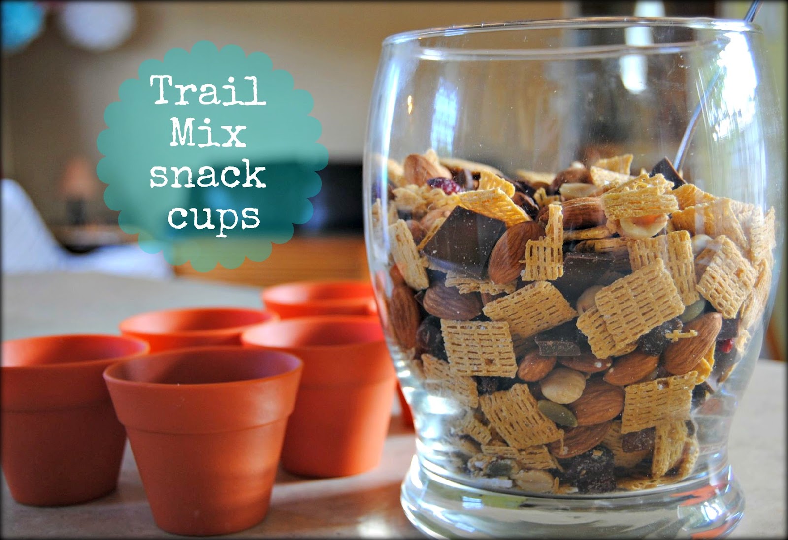 Kate's Kitchen: Trail Mix Snack Cups