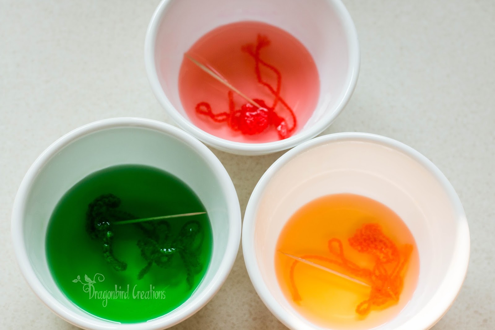 Dragonbird Creations: Adventures in Crafts: Yarn Dyeing-You Need To ...