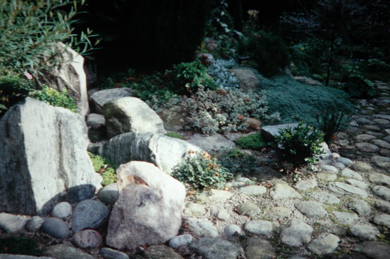 HAVETID: Sten og planter.