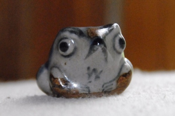 My Adventures On Windy Hill: The Fertility Frog, The Suicidal Cardinal ...