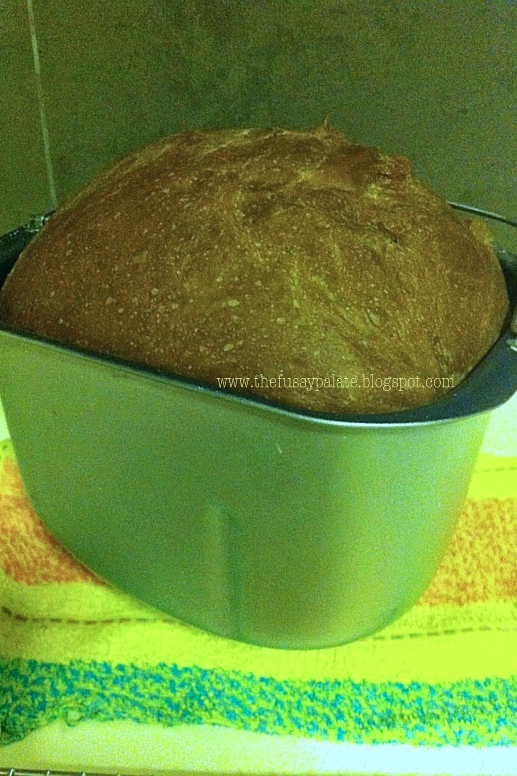 The Fussy Palate: Chocolate Bread with Golden Raisins