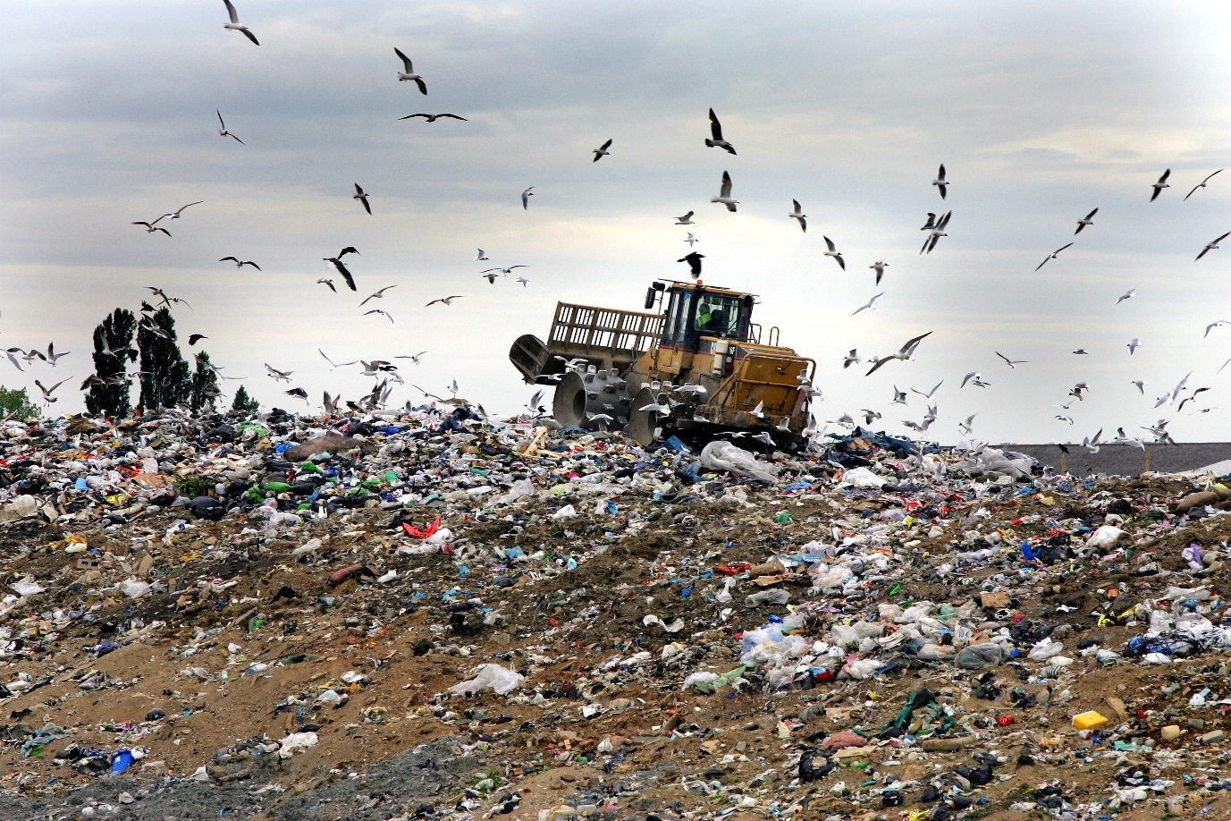 Alternatives For Biodegradable Products Environment Clean Generations alternatives-for-biodegradable-products-environment-clean-generations