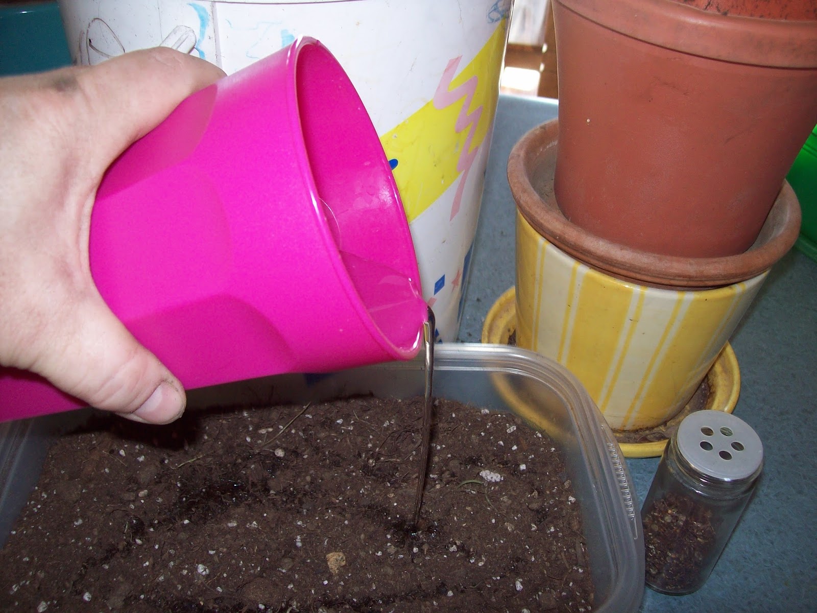 Wicked Raven Farm Blog: Let's drop a BOMB!