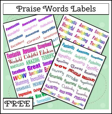 The Best of Teacher Entrepreneurs: FREE MISC. LESSON - “Praise Words ...