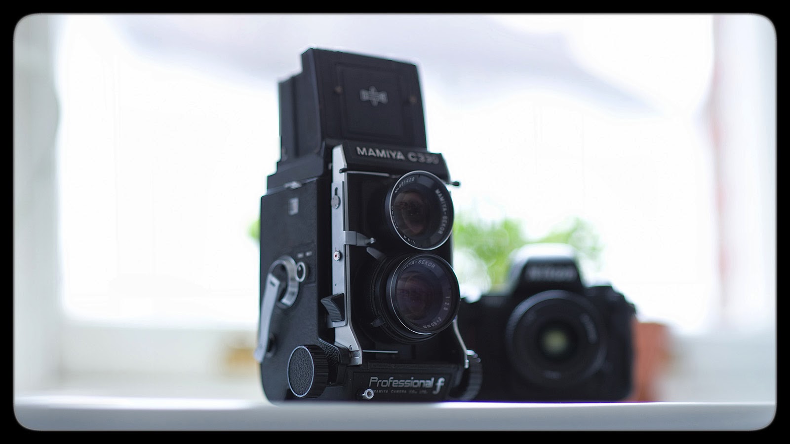 Infra-Edd: Cameras - Mamiya C330f & EFKE IR820 Aura Infra-red Film