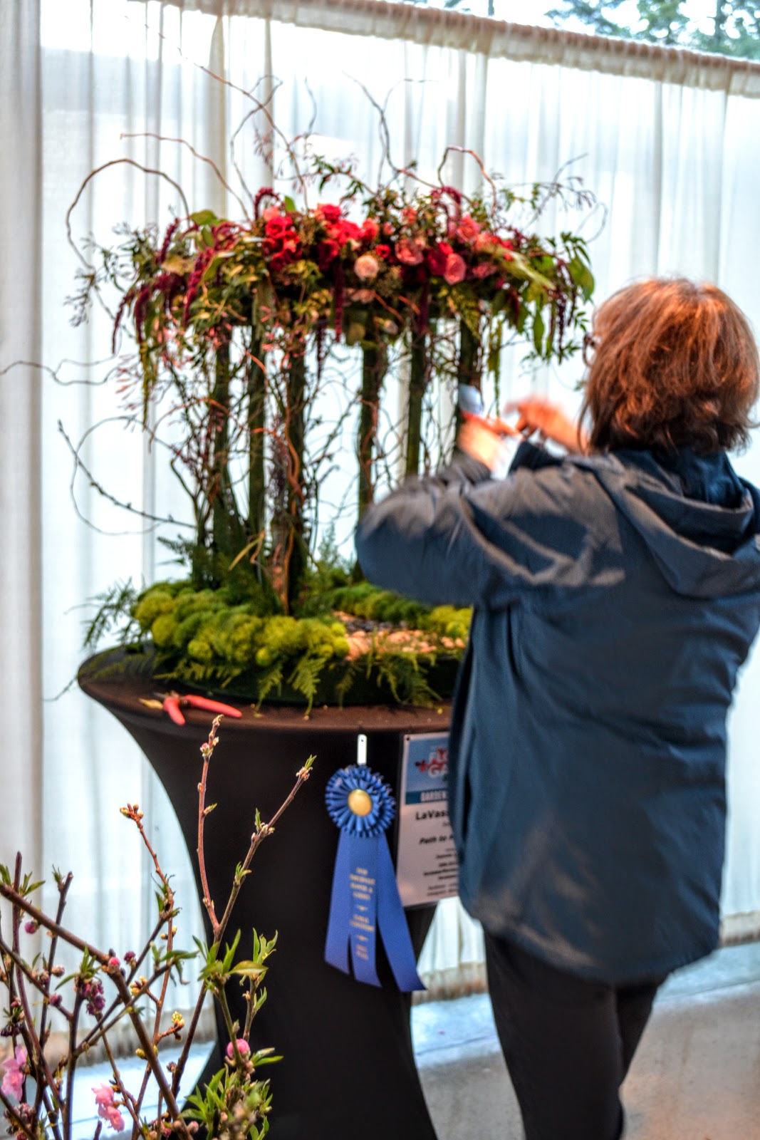 The Outlaw Gardener: The Northwest Flower and Garden Festival Part 3 ...