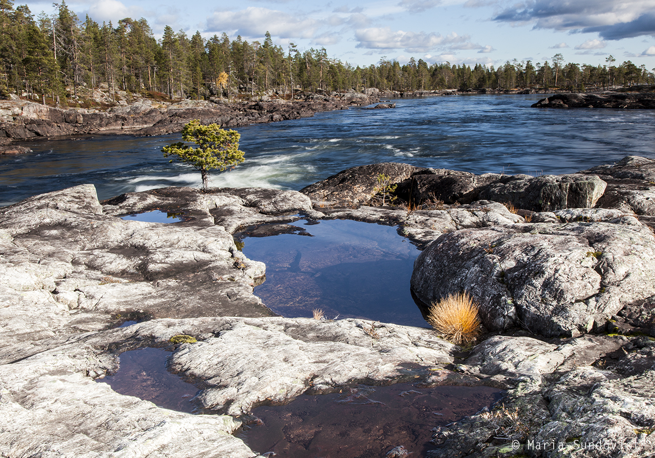 Lappland Nature: Trollforsen