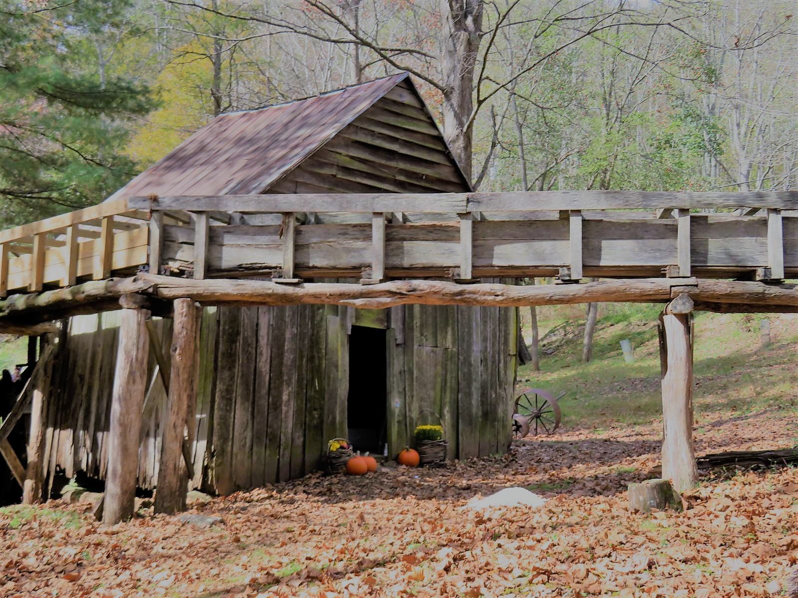 Hiking with a Fat Bald White Guy: DELLINGER MILL IN MITCHELL COUNTY