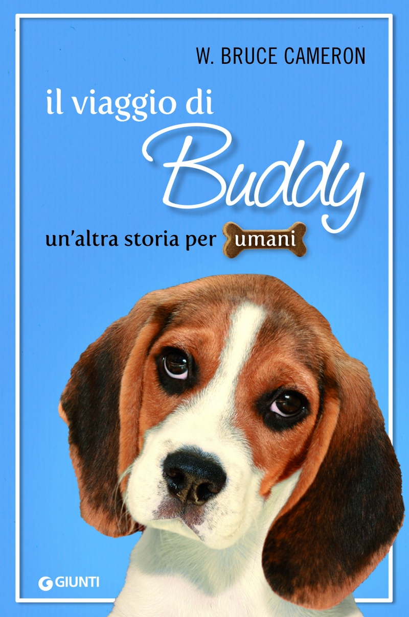 L'amico immaginario, Il viaggio di Buddy e le altre uscite Giunti, in ...