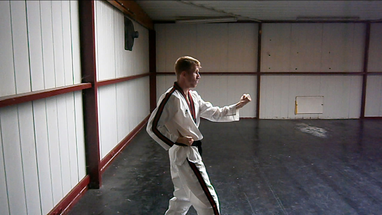 TAEKWONDO PERFORMANCE: août 2012