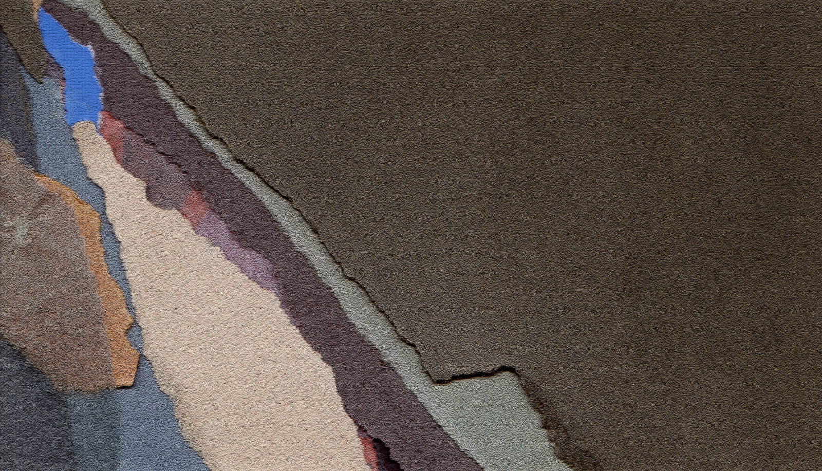 Tanja Nikolic Art: DAILY BUTTERFLY™