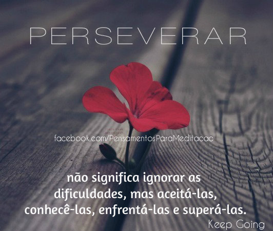 Perseverar - Pensamentos para Meditação!