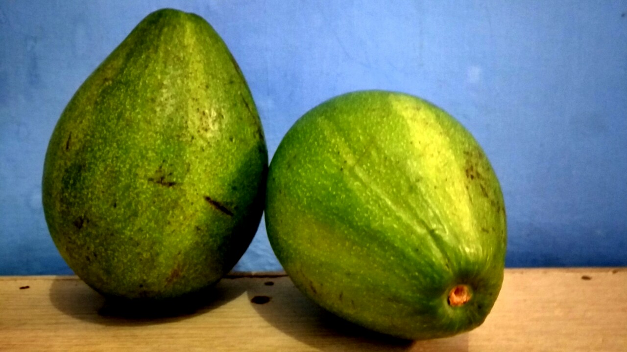 Manfaat buah alpukat ( Avokad ) ~ IlmuPengetahuanku.com
