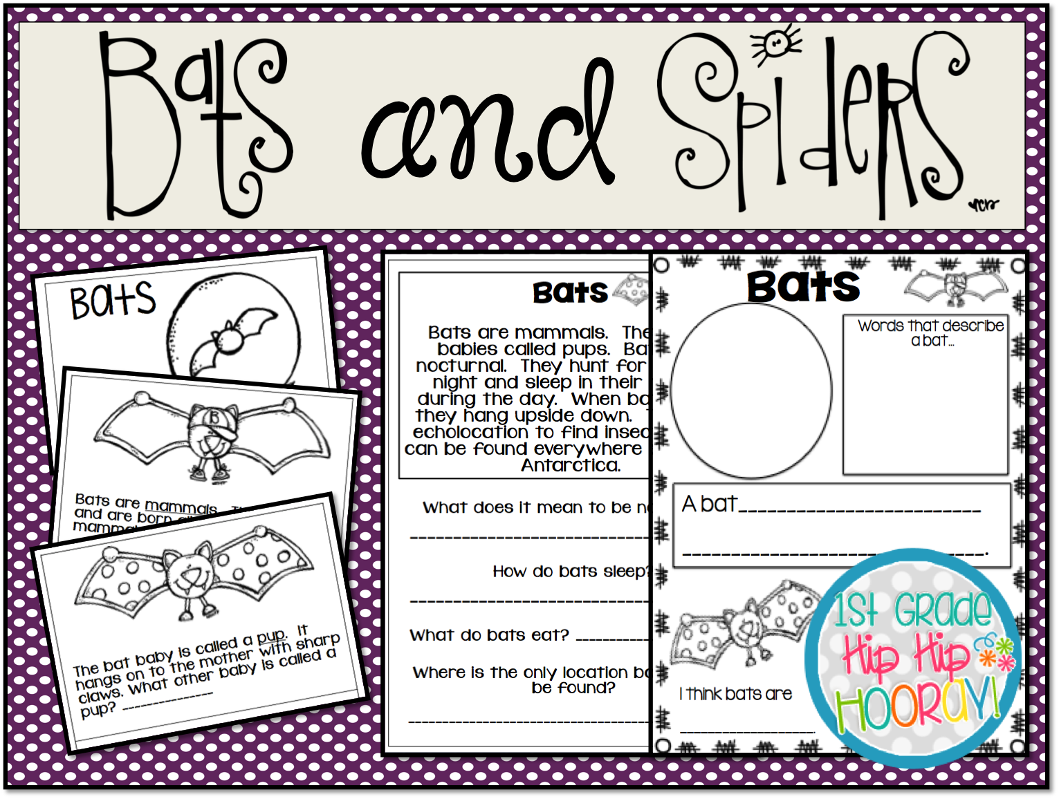 1st Grade Hip Hip Hooray!: Spiders and Bats BEWARE!