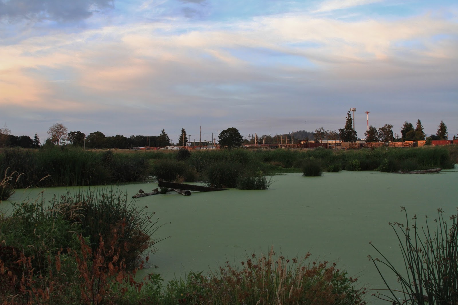 Mid Valley Blogger: Talking Waters Garden Revisited