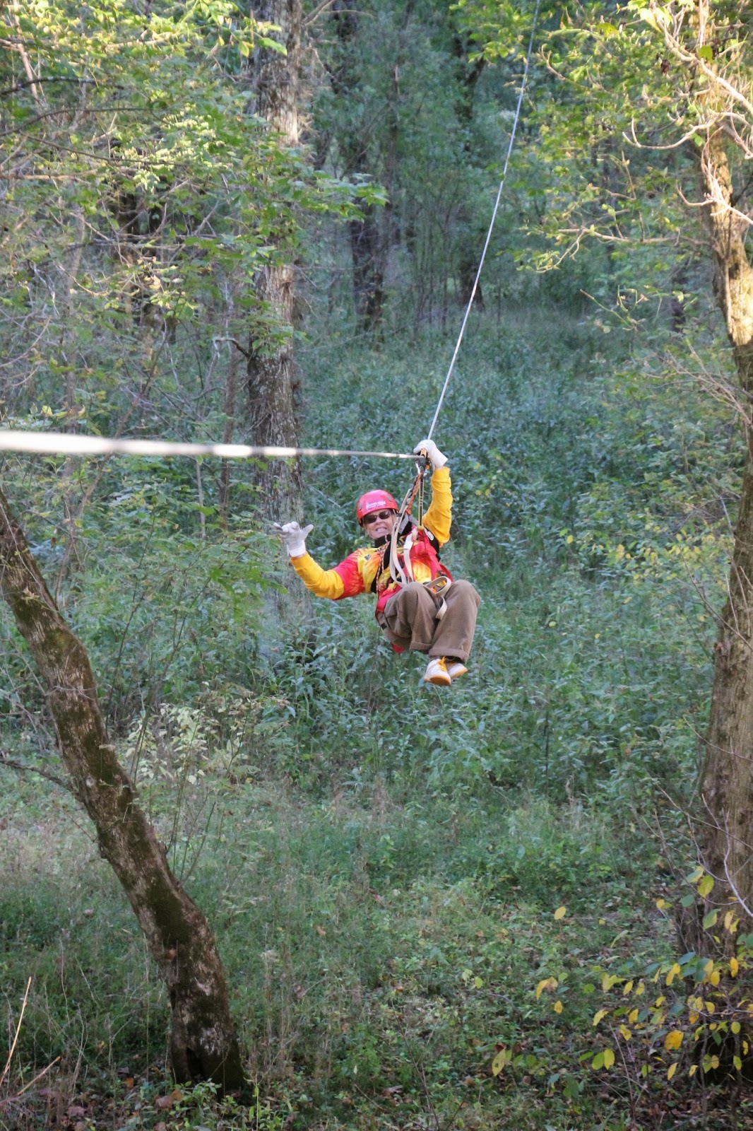 Ziplining Across the USA: Friday October 11 Hocking Hills Canopy Tours ...