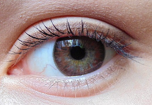 ANIAQ14 : SOCZEWKI KOLOROWE ALL VUE COLORS