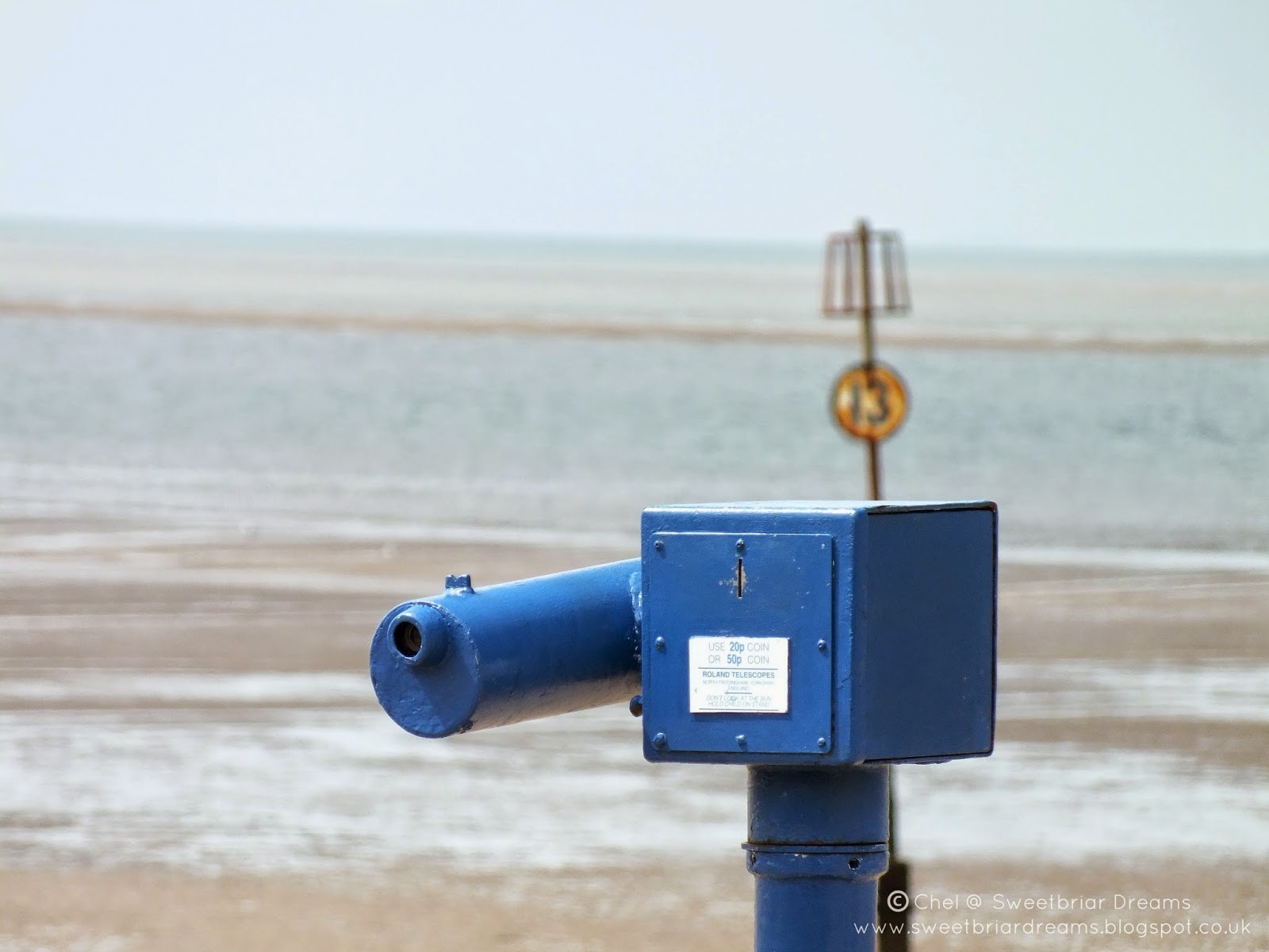 Singing Cockles And Mussels Alive Alive Oh at Sandra Willis blog