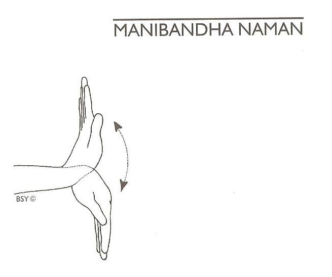 seek apropos: Essential Yoga Asanas