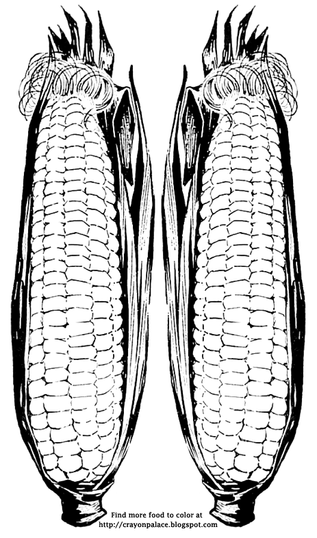 Ears Of Corn Coloring Pages