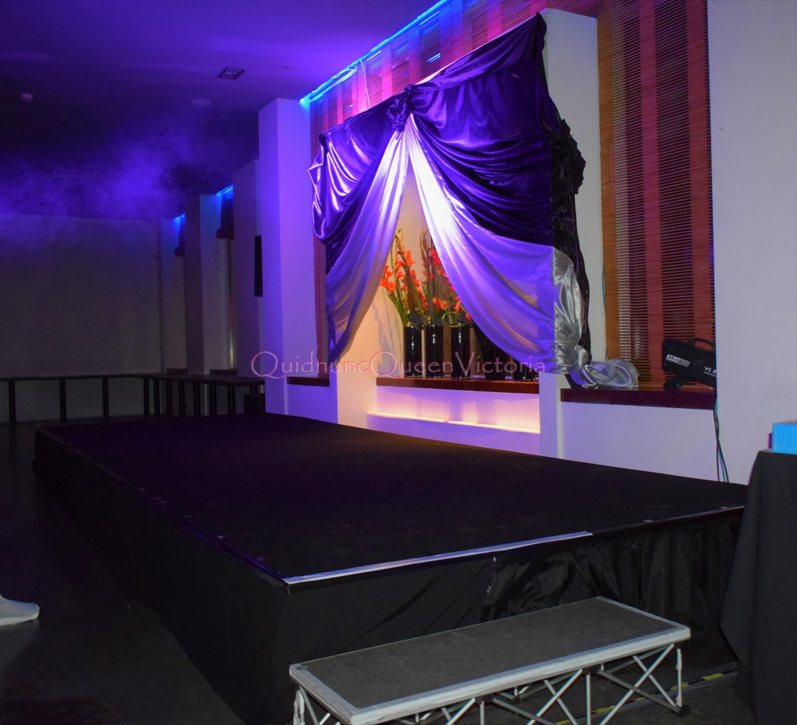 THE QUIDNUNC QUEEN : MISS MANGO TREE OUT OF THIS WORLD 2017