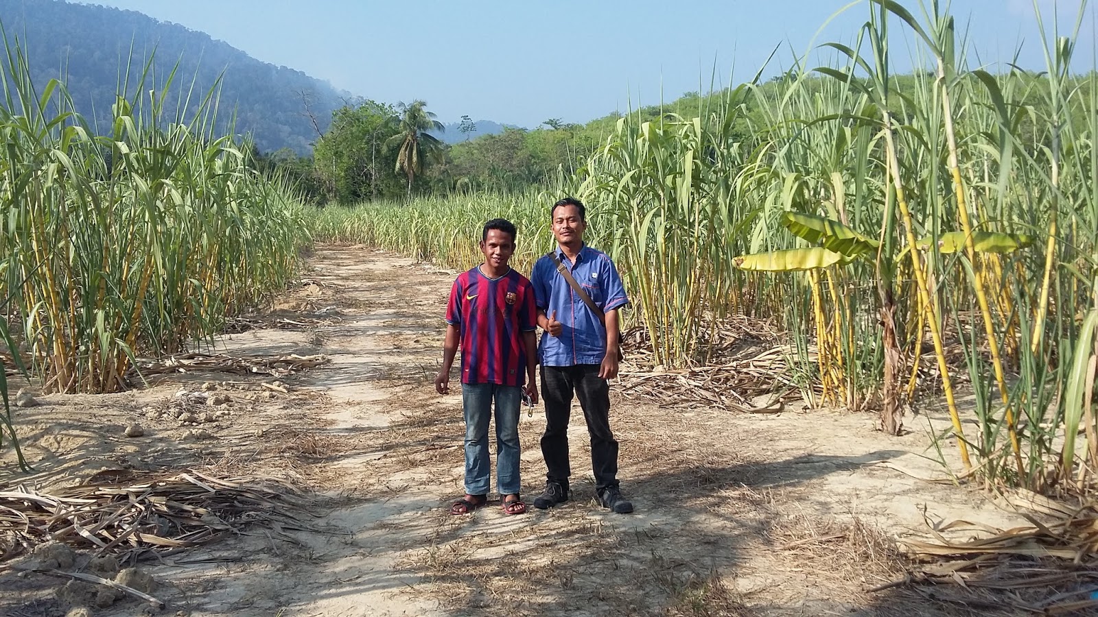 MBFM Cawangan , Felda Bukit Damar Lanchang Pahang