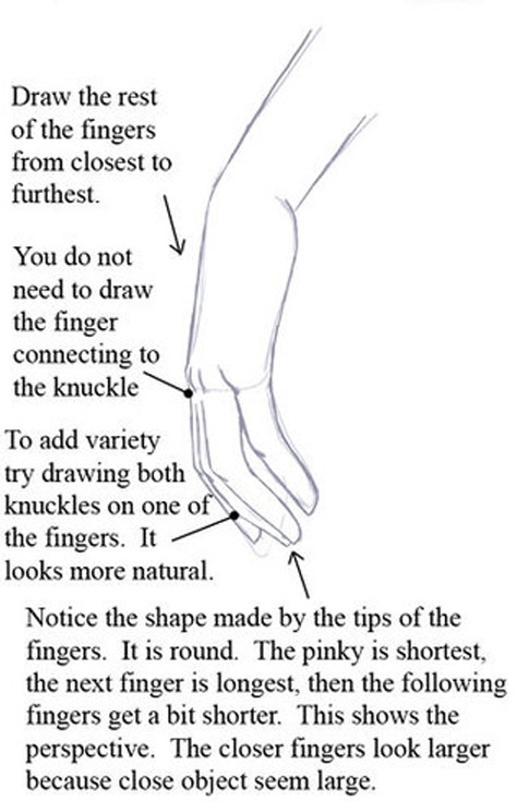 Learning to draw: Hand