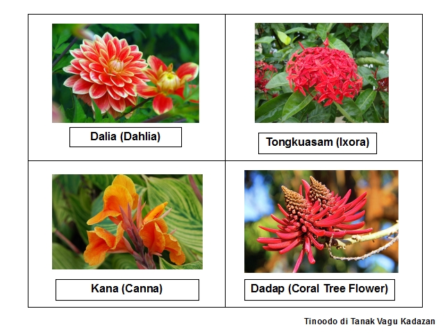 Tanak Vagu Kadazan Dusun: Bunga/Vusak (Flower)