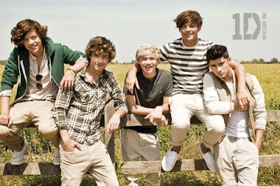 One Band One Dream One Direction: One Direction Profile