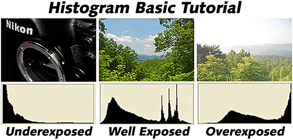 The Nikon Companion: Understanding Your Camera's Histogram