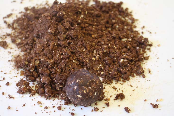 Cacao Power Bites! Healthy Bon-Bons!