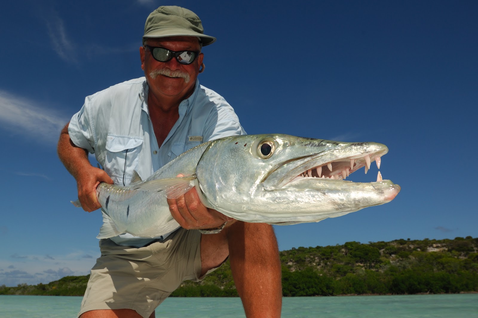 Fly Paper: Barracuda: A Couple Techniques for this Great Gamefish!