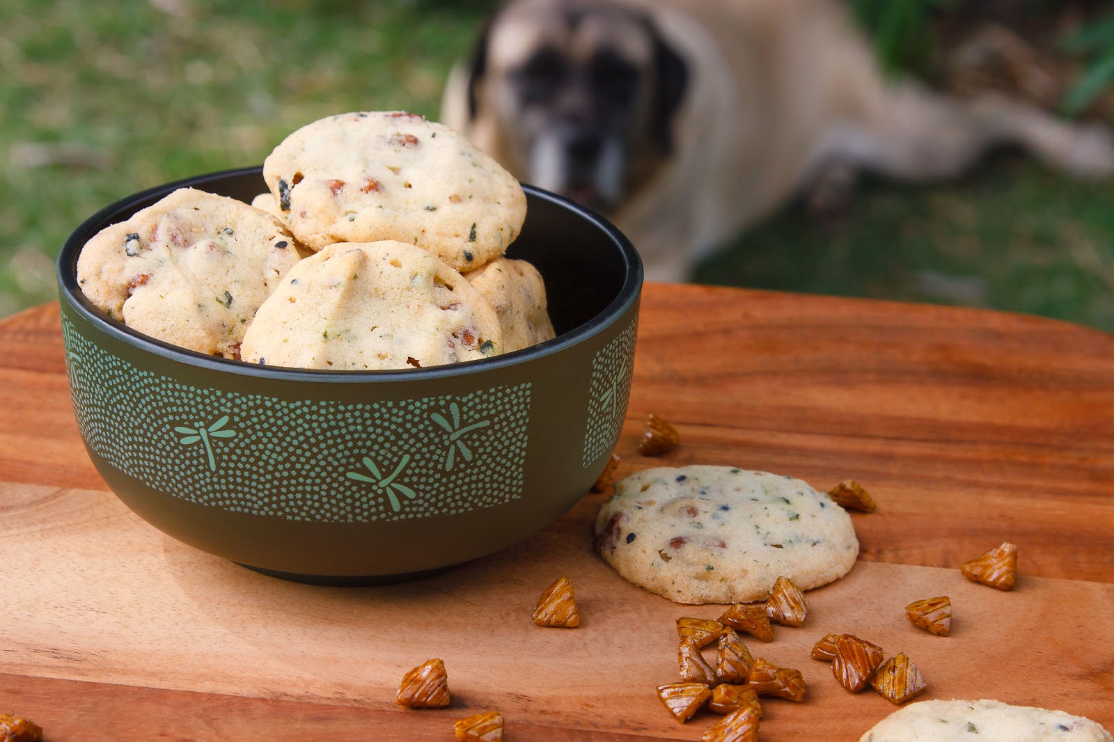 kruizing with kikukat: January 2015