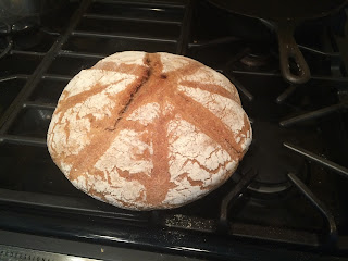 Baking Roman Bread: Reproducing the Herculaneum Loaf