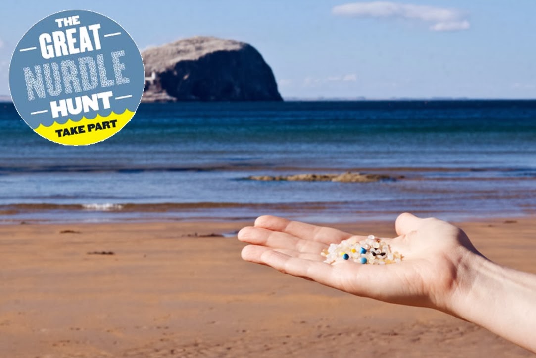 MCS Sea Champions: The Great Nurdle Hunt!