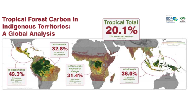 Indigenous Forest Guardians: Good or Bad? • Globcal International