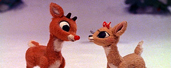 Gene s Green Scene Reindeer Twelve Fascinating Facts About These gene-s-green-scene-reindeer-twelve-fascinating-facts-about-these