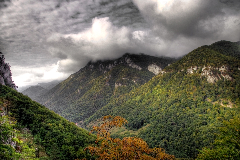 Daniel Roxin: De ce suntem săraci când avem o țară atât de bogată?