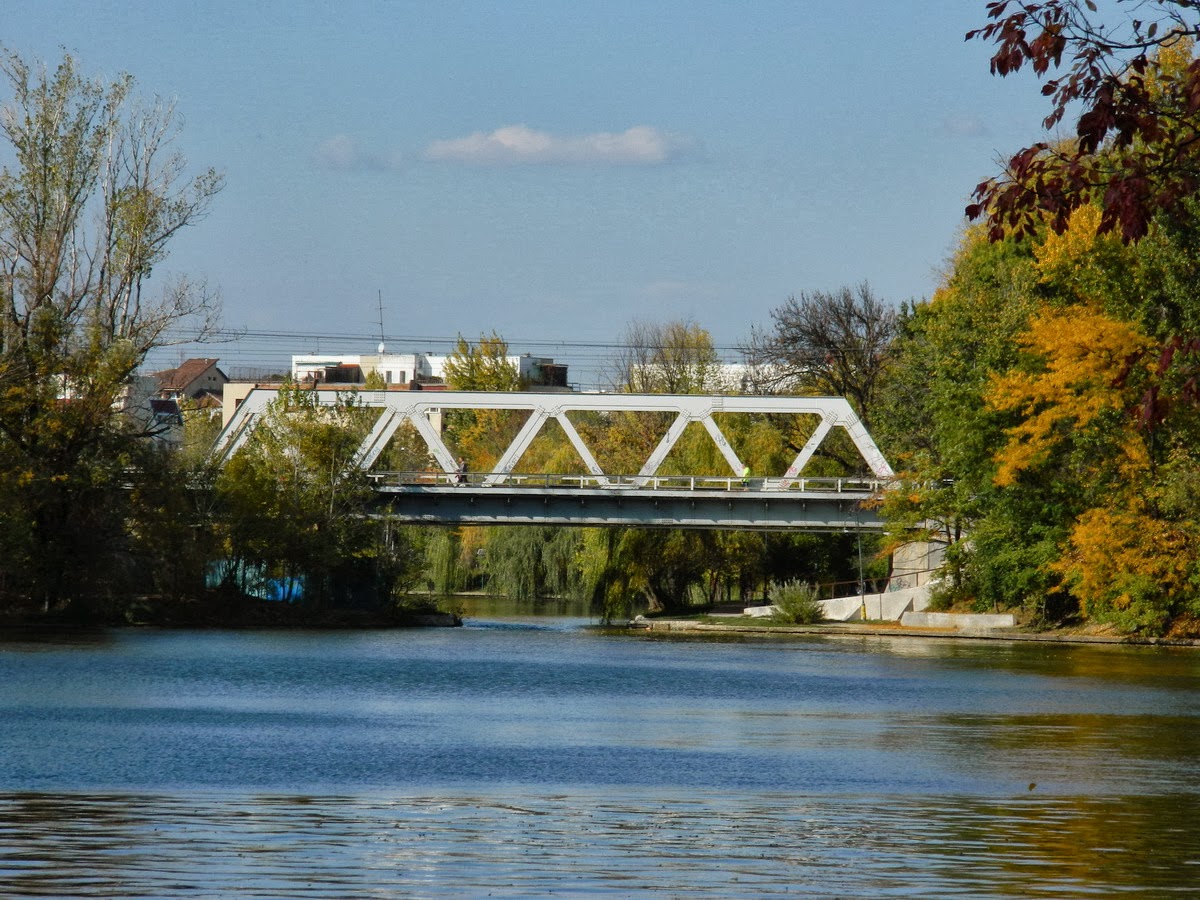 LA MULTI ANI, ROMANIA!: Podul de cale ferata