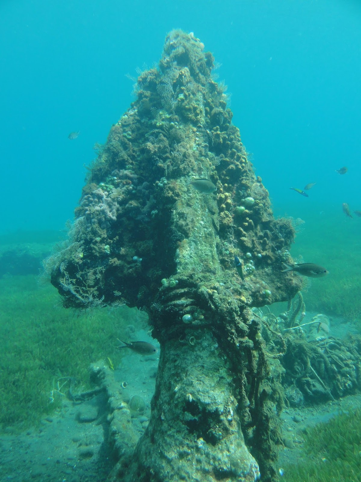 Persil et oignon pays: Manman dlo