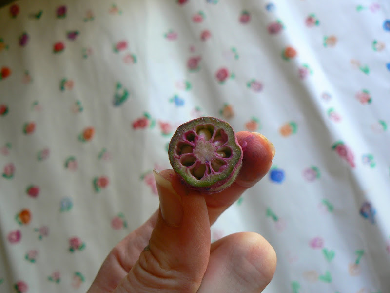 Having Fun at Home: Okra Flower Printing